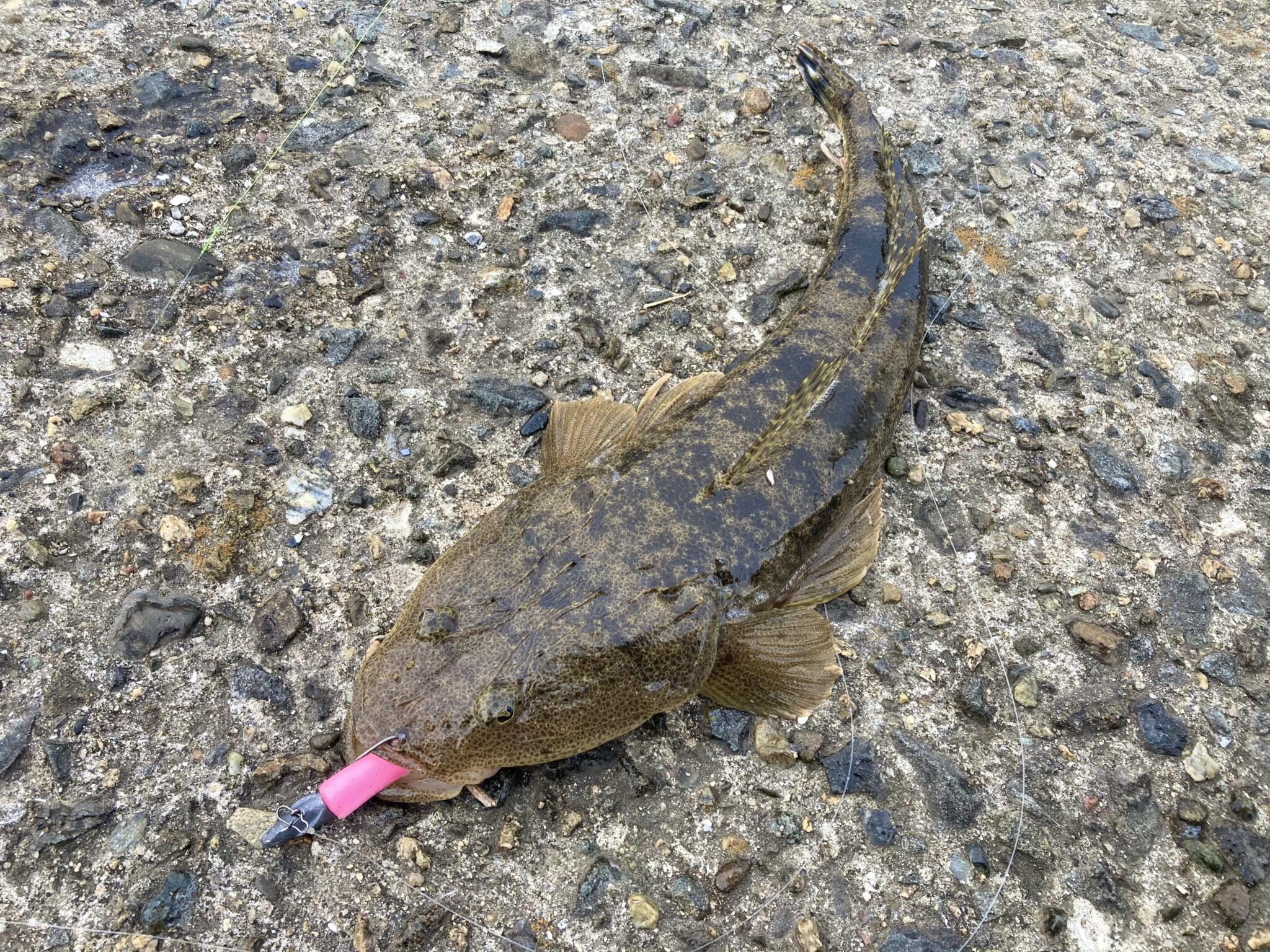 BR FISH: A masterpiece Japanese lure that the world can be proud of ...